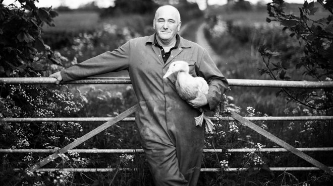 Buy Goosnargh Duck Online – Grid Iron Meat